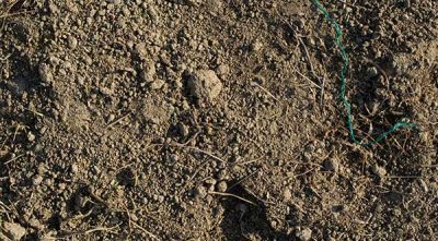 Sand and Soils Deliveries | Gravel Deliveries Brisbane